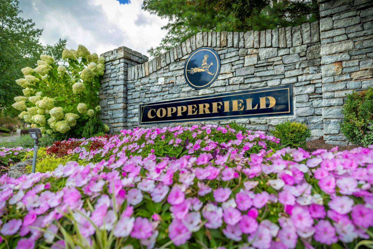 Copperfield Neighborhood Association